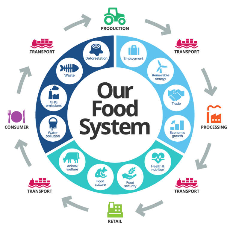 food_diagram | Food Systems Thinking